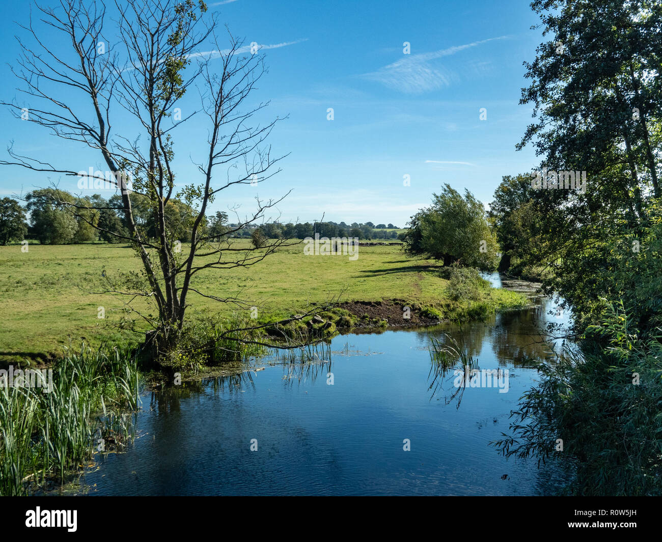 Riverside trees hi-res stock photography and images - Alamy