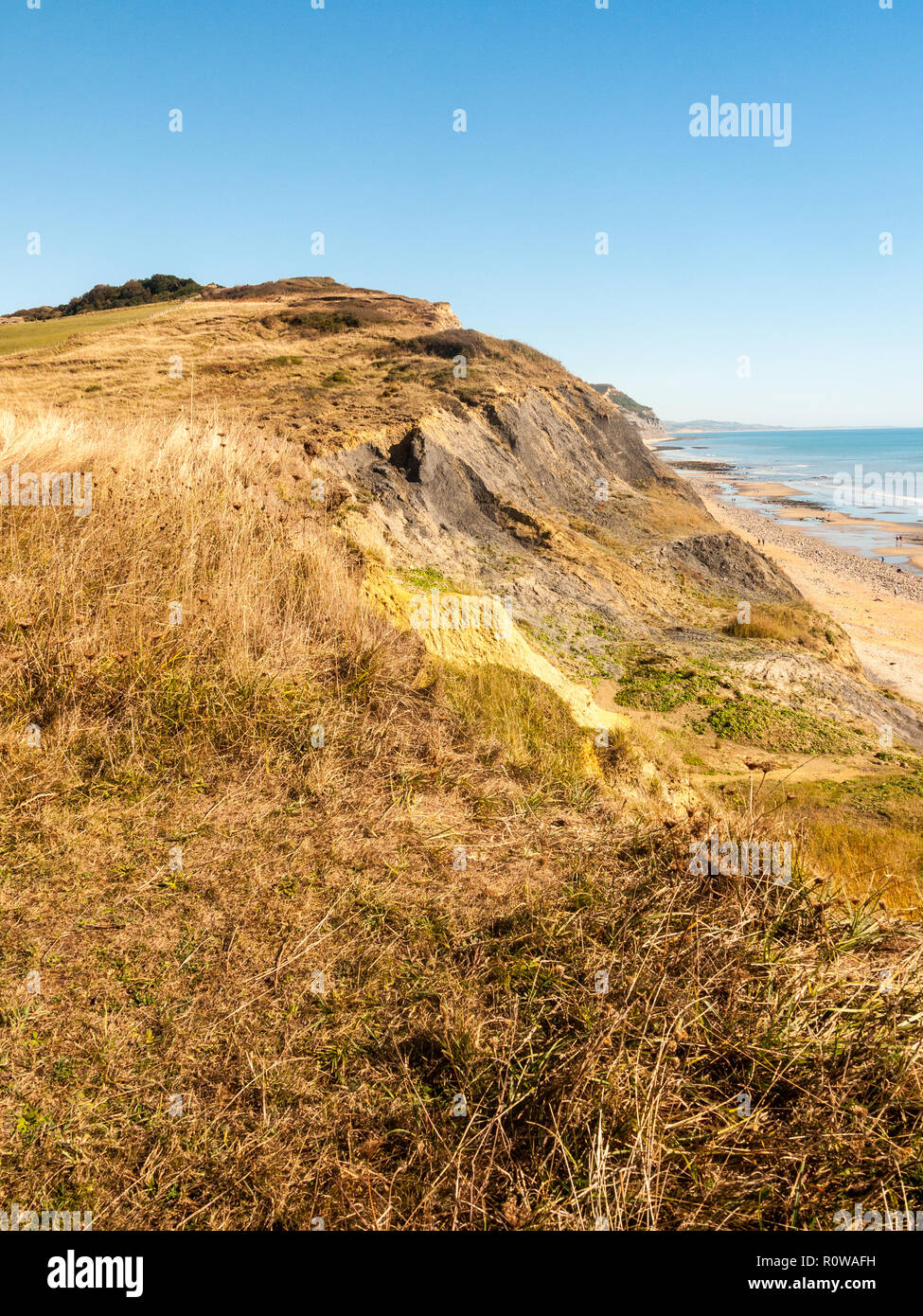 jurassic coast Charmouth dorset cliffs rocks landscape nature tourist ...