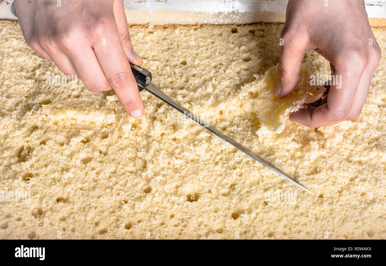 Cutting sponge cake on layers. Preparing a torte cake, detail of hands ...