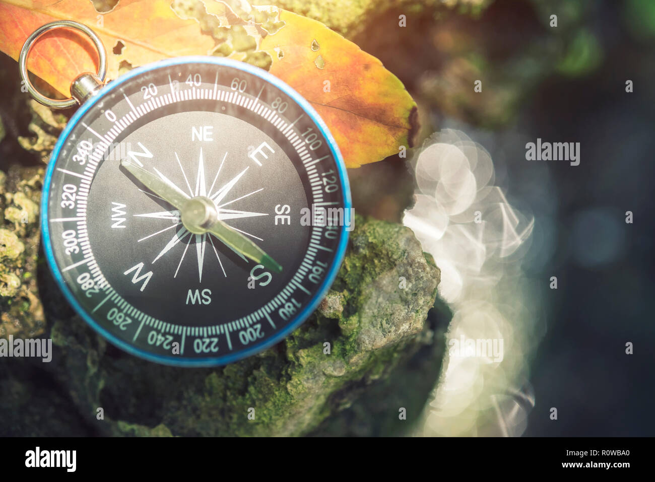 Travel background, compass on ground with leaf in nature with sunlight ...