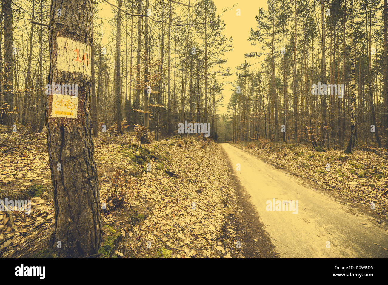 Bike path in the forest hi-res stock photography and images - Alamy