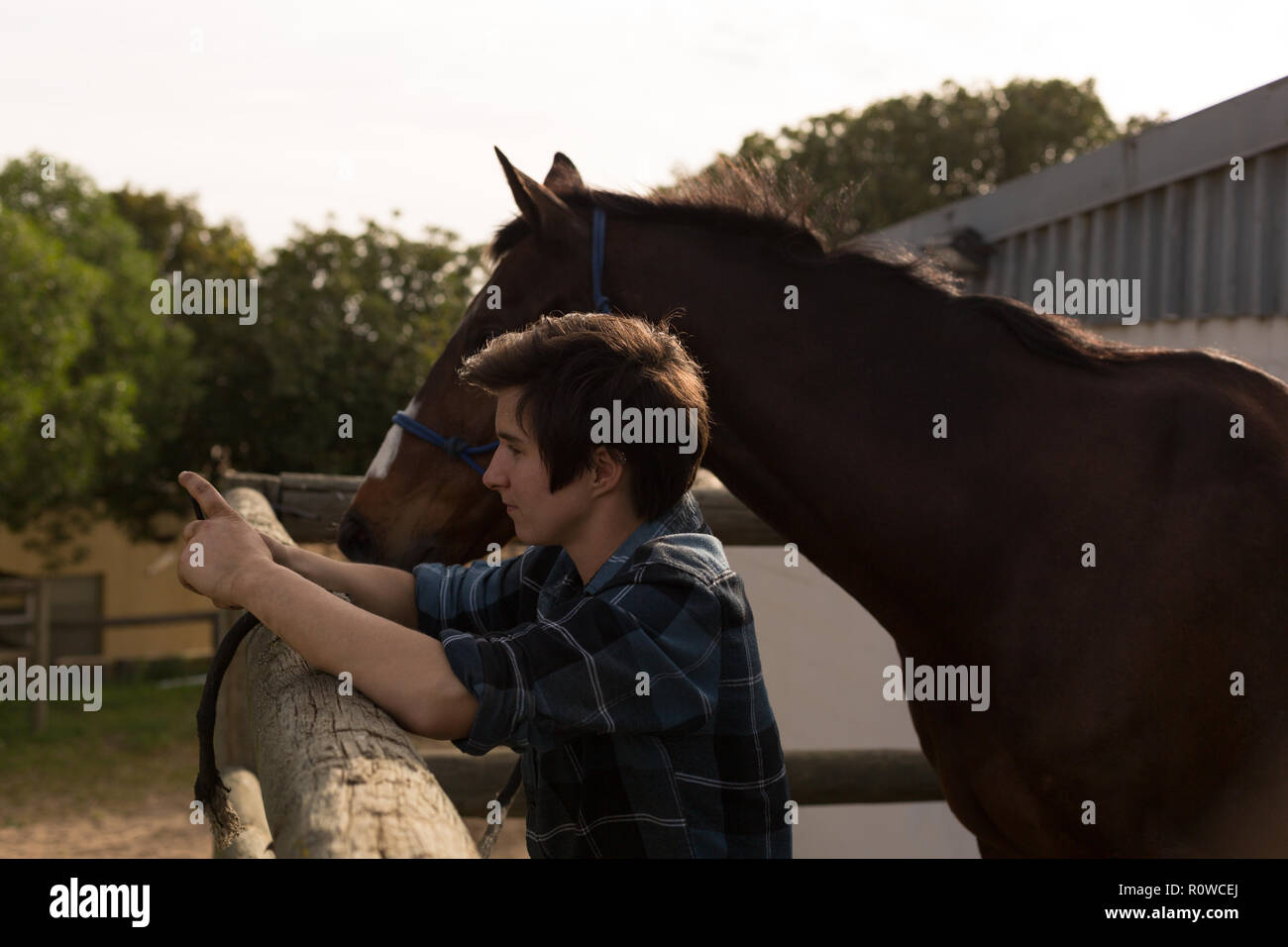 Stable connection hi-res stock photography and images - Alamy