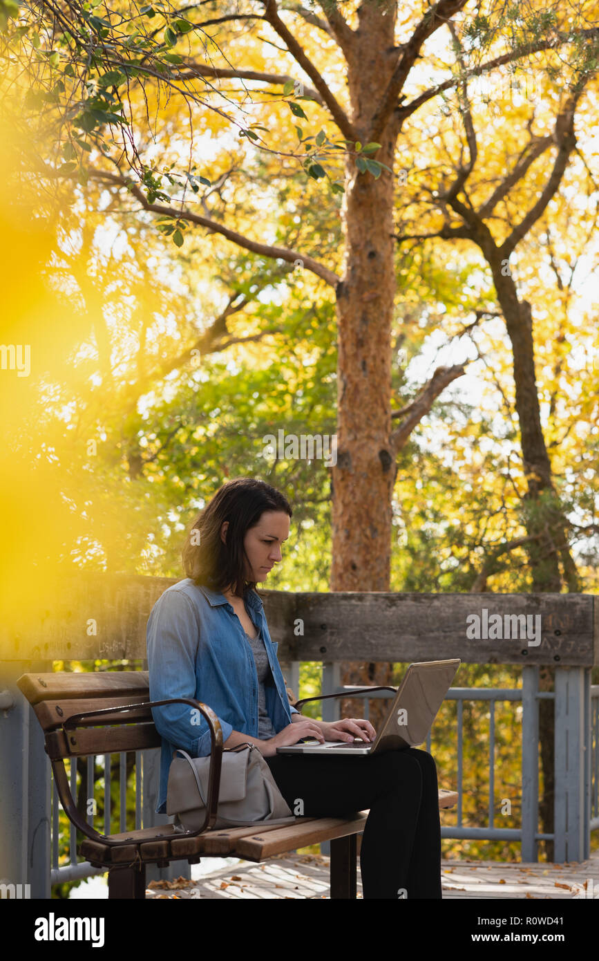 Laptop computer park garden hi-res stock photography and images - Alamy