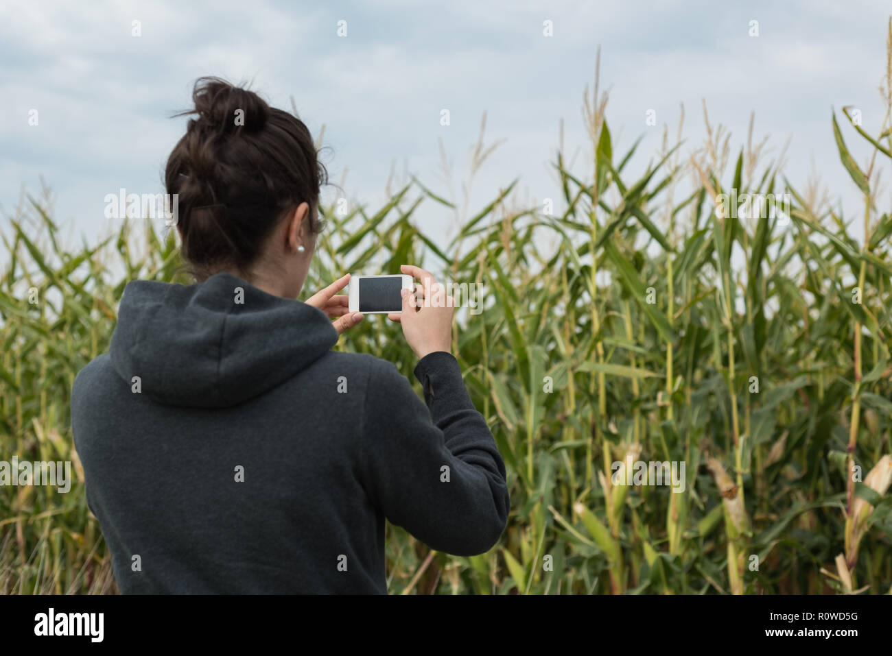 Woman clicking photos with camera in the field Stock Photo - Alamy