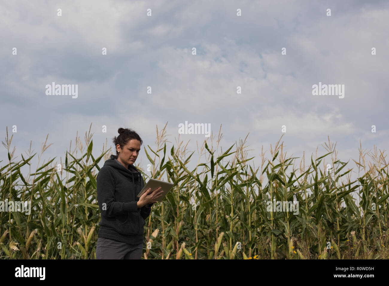 Digital field hi-res stock photography and images - Alamy