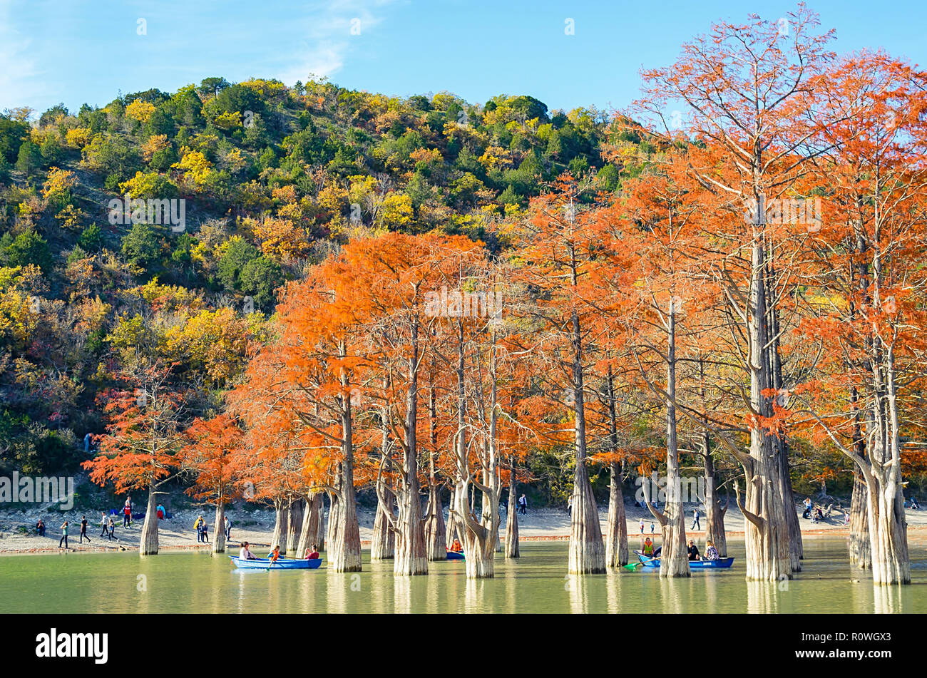 Shore view of cypress lake in autumn Stock Photo - Alamy
