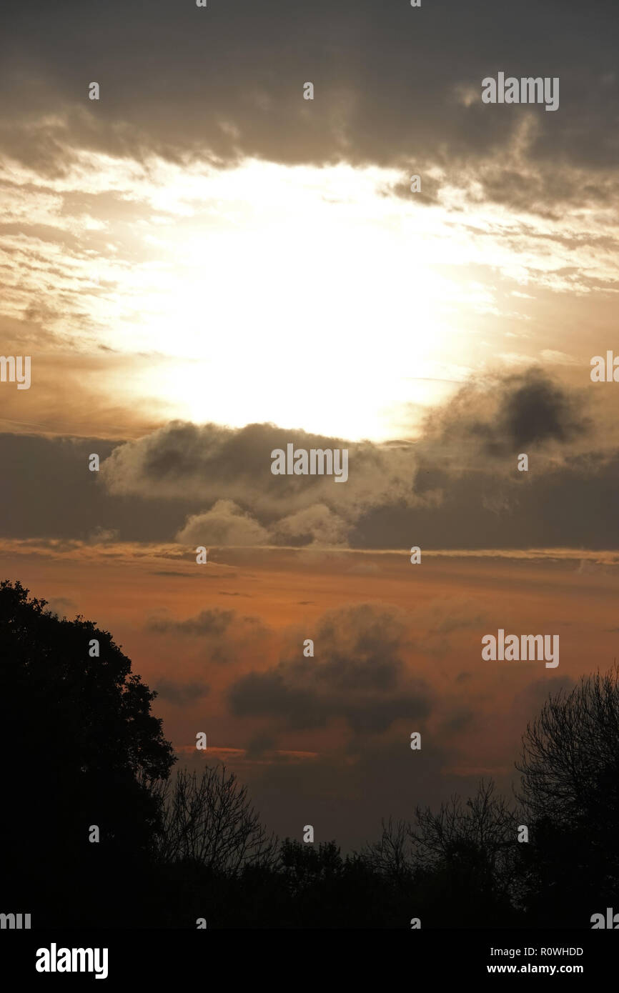 October glory trees hi-res stock photography and images - Alamy