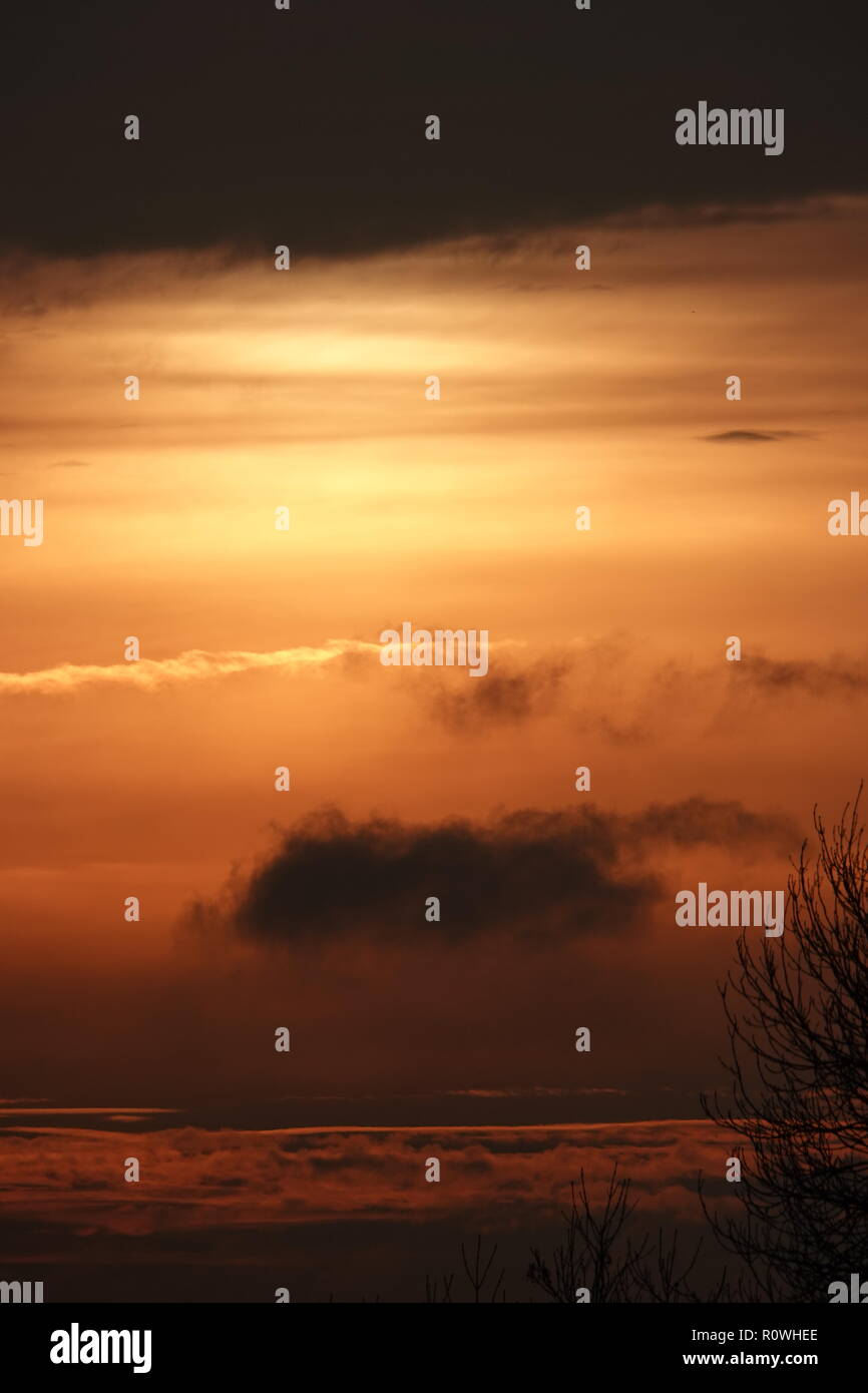 October glory trees hi-res stock photography and images - Alamy