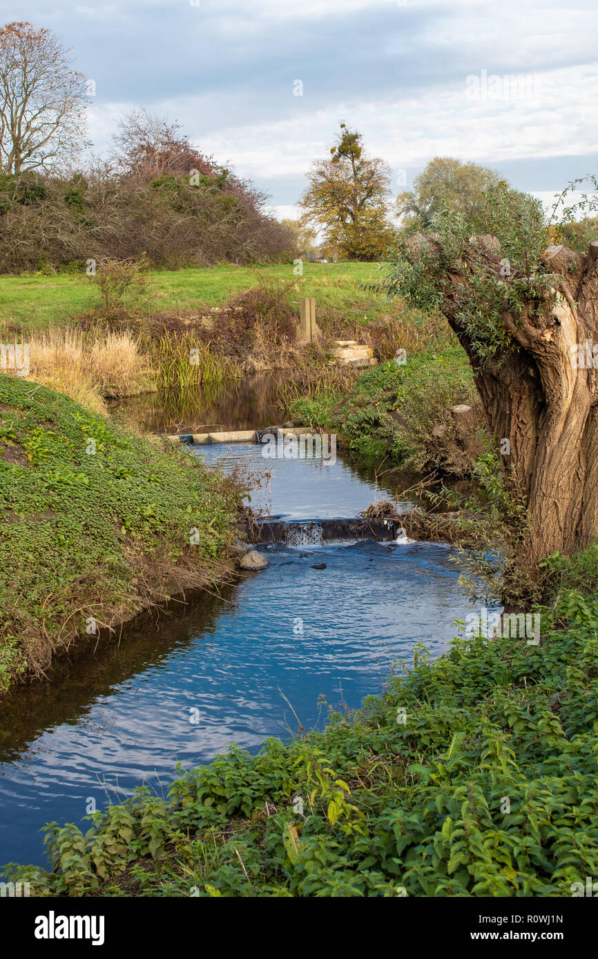 Tewkesbury vineyards hi-res stock photography and images - Alamy
