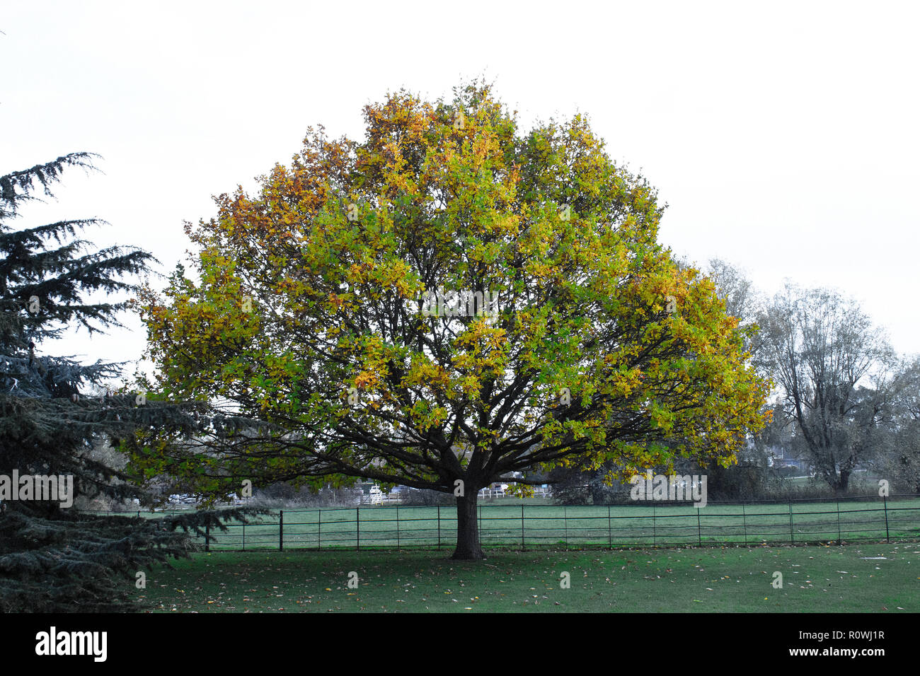 Tewkesbury abbey grounds hi-res stock photography and images - Alamy