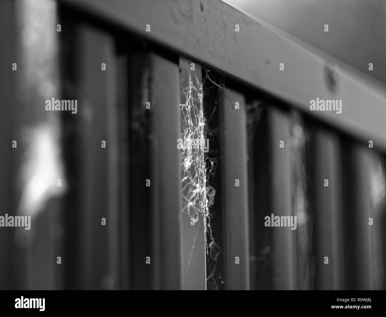 Cobwebs on fence hi-res stock photography and images - Alamy