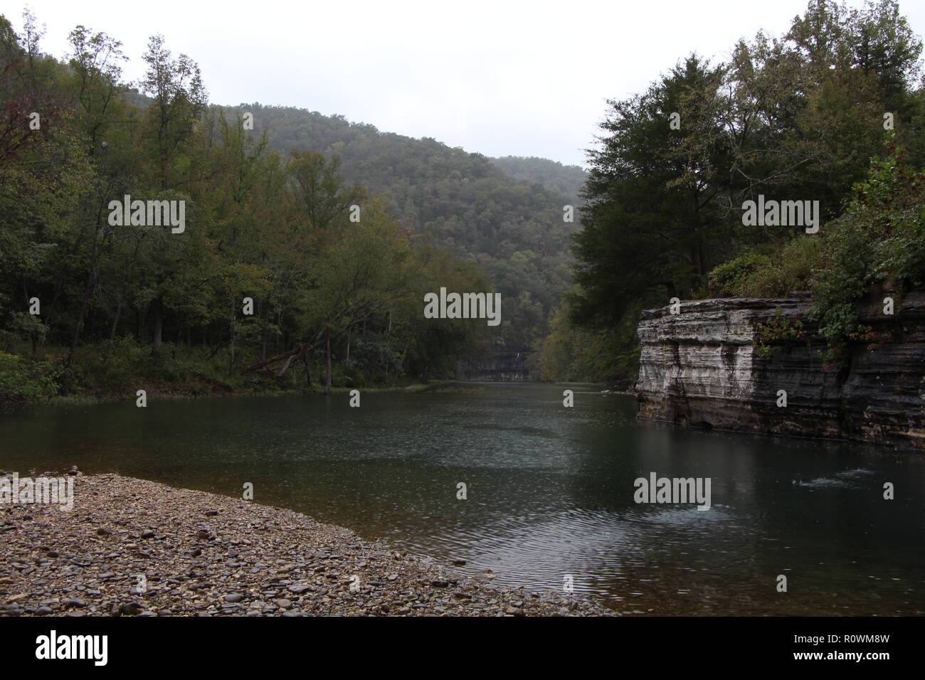 Buffalo in rain hi-res stock photography and images - Alamy