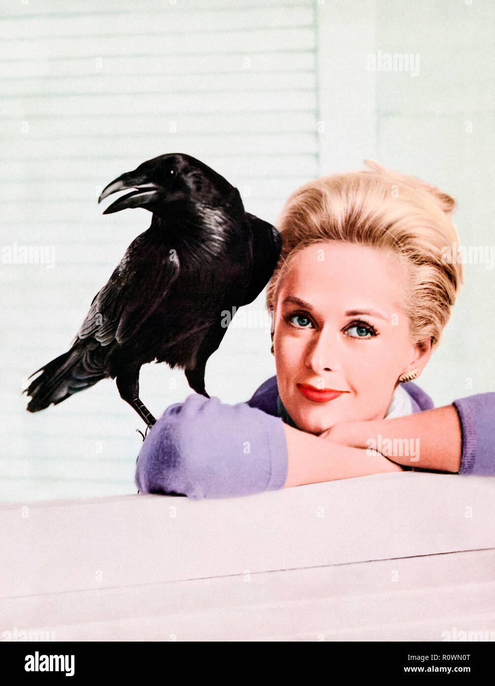 Birds 1963 american horror thriller film directed alfred hitchcock hi ...