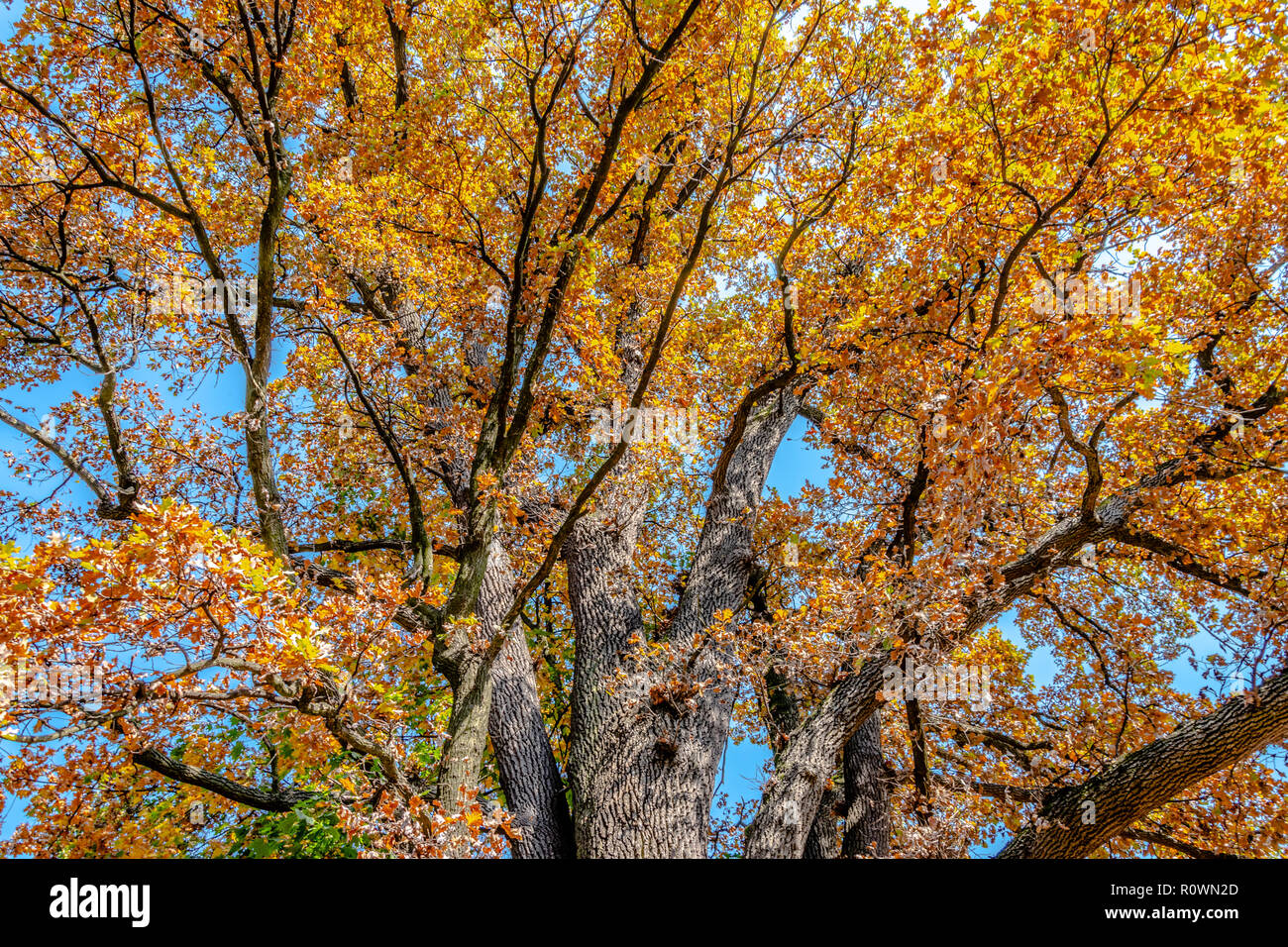 Ilidza hi-res stock photography and images - Alamy