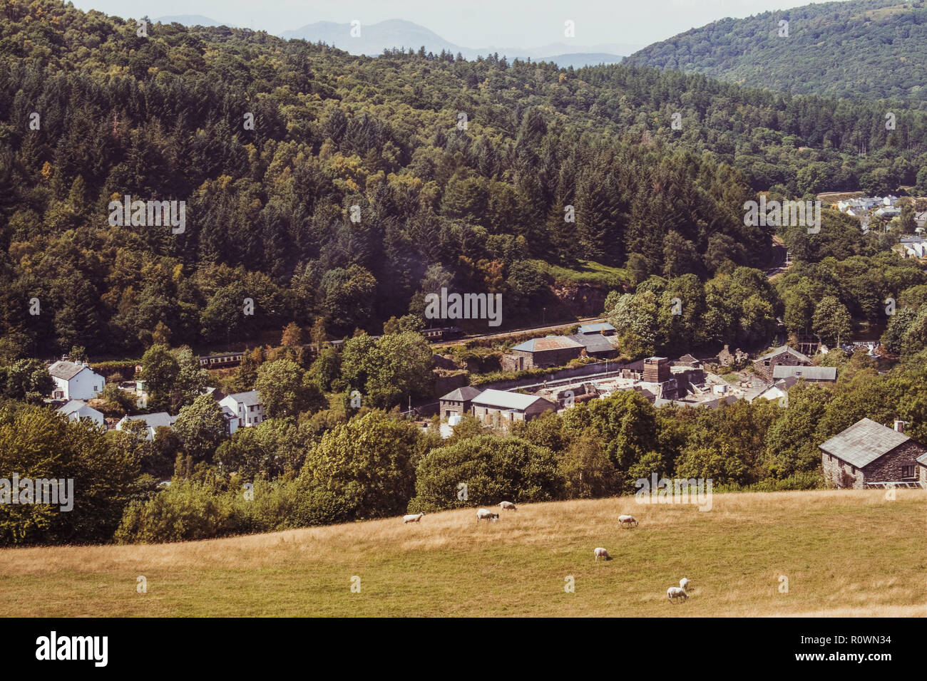 Steam trains backbarrow hi-res stock photography and images - Alamy