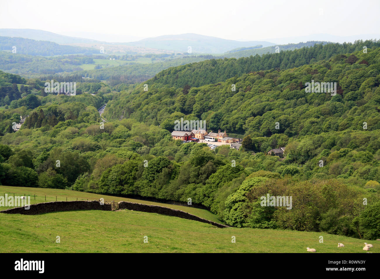 Haverthwaite steam trains hi-res stock photography and images - Alamy