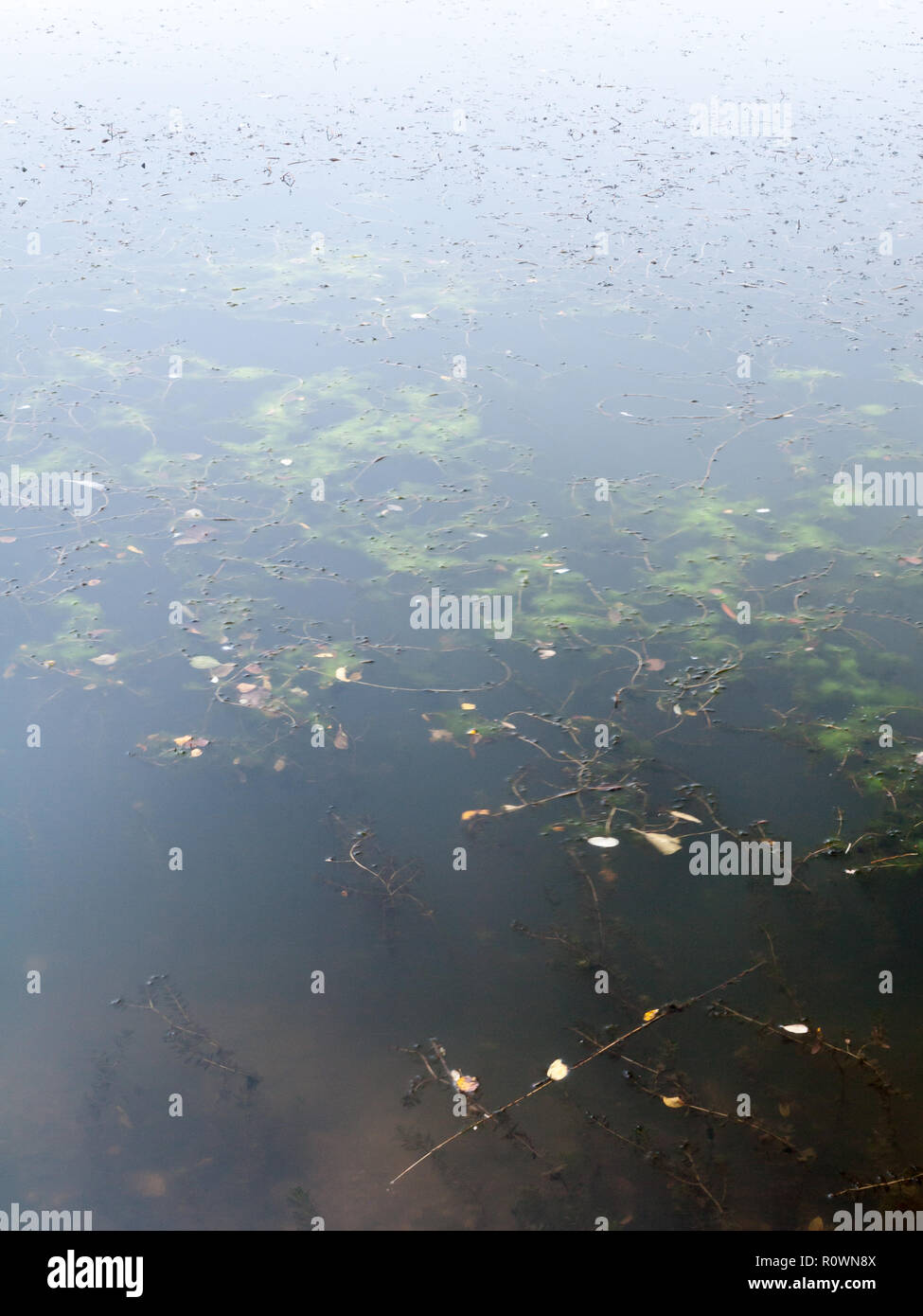 close up long exposure of water lake surface background nature texture ...