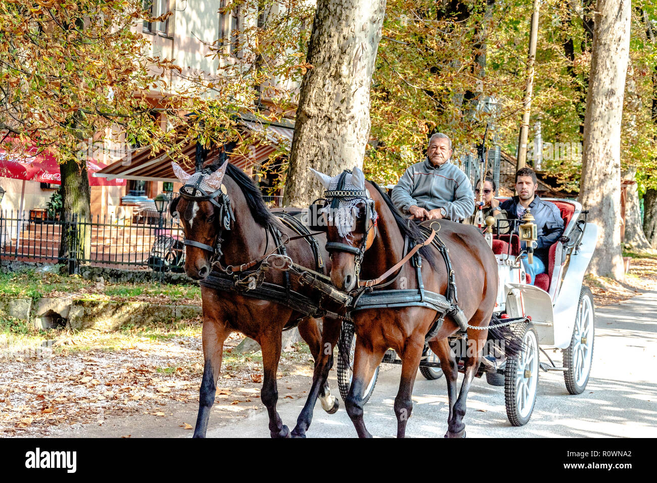 Beautiful carriage and chariot hi-res stock photography and images - Alamy