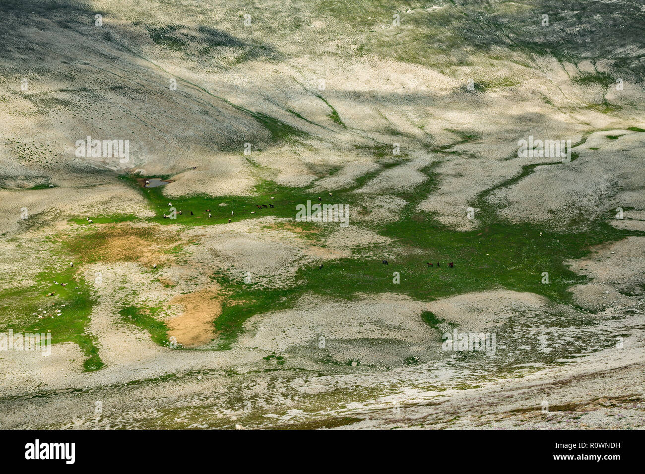 wetland and pond in the valley towards Monte Amaro Majella summit ...