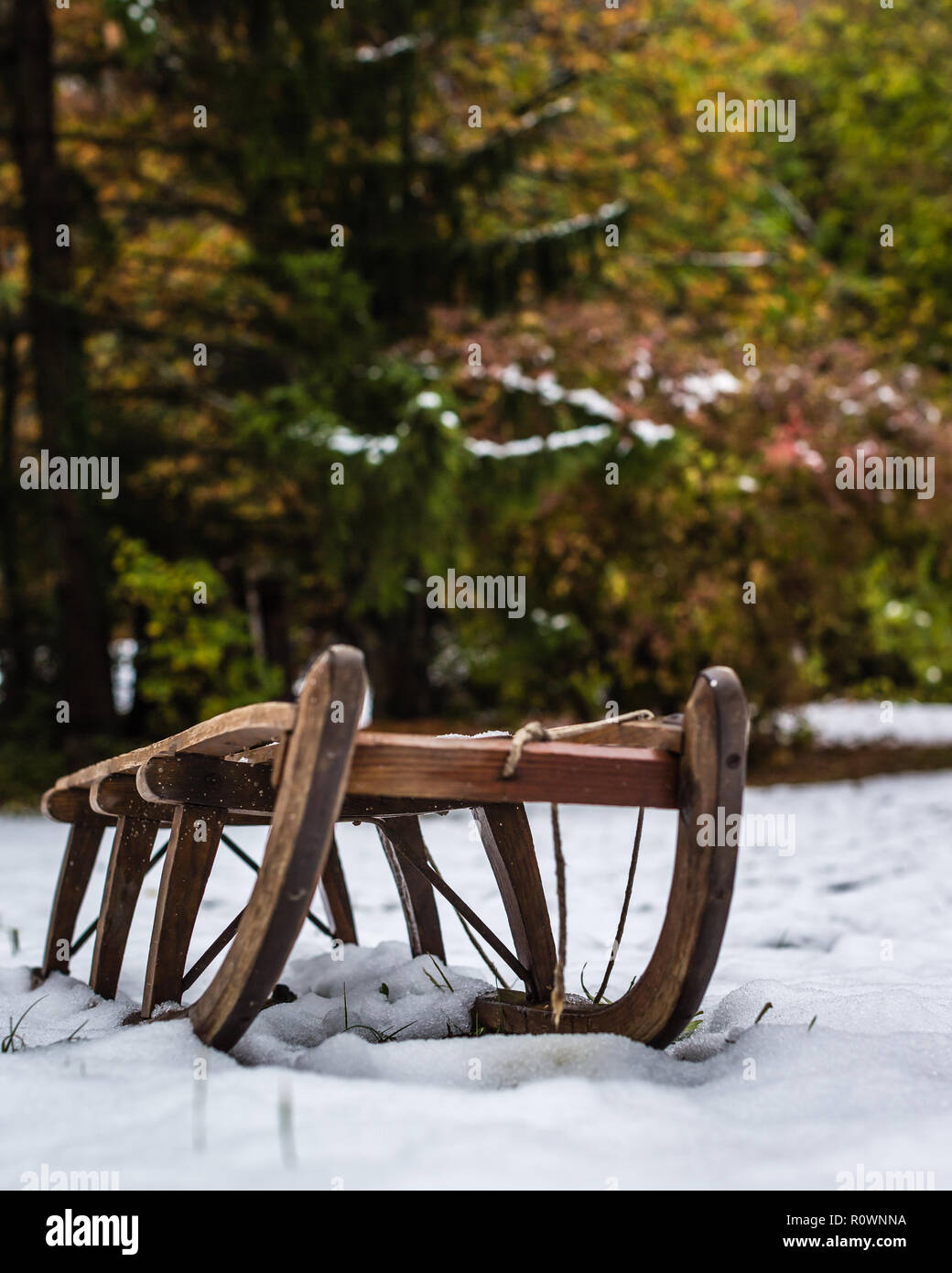 Luge sled hi-res stock photography and images - Alamy