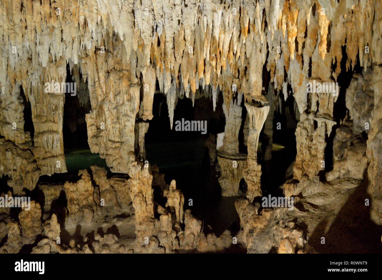 Cenotes and caves, mexico Stock Photo - Alamy