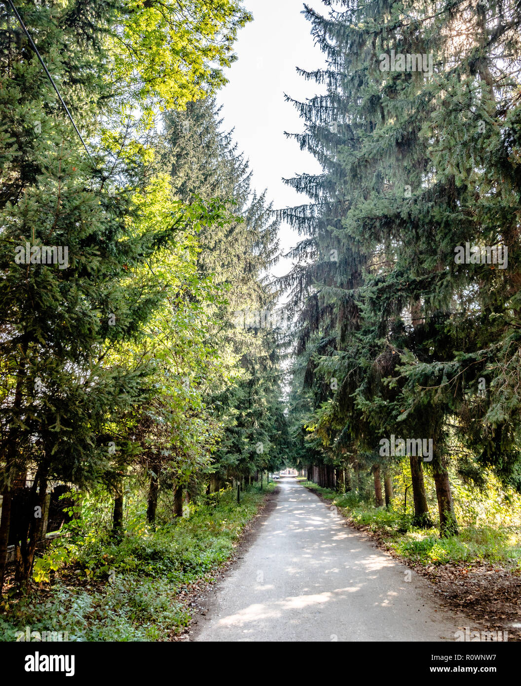 Autumn on Great Lane Stock Photo - Alamy