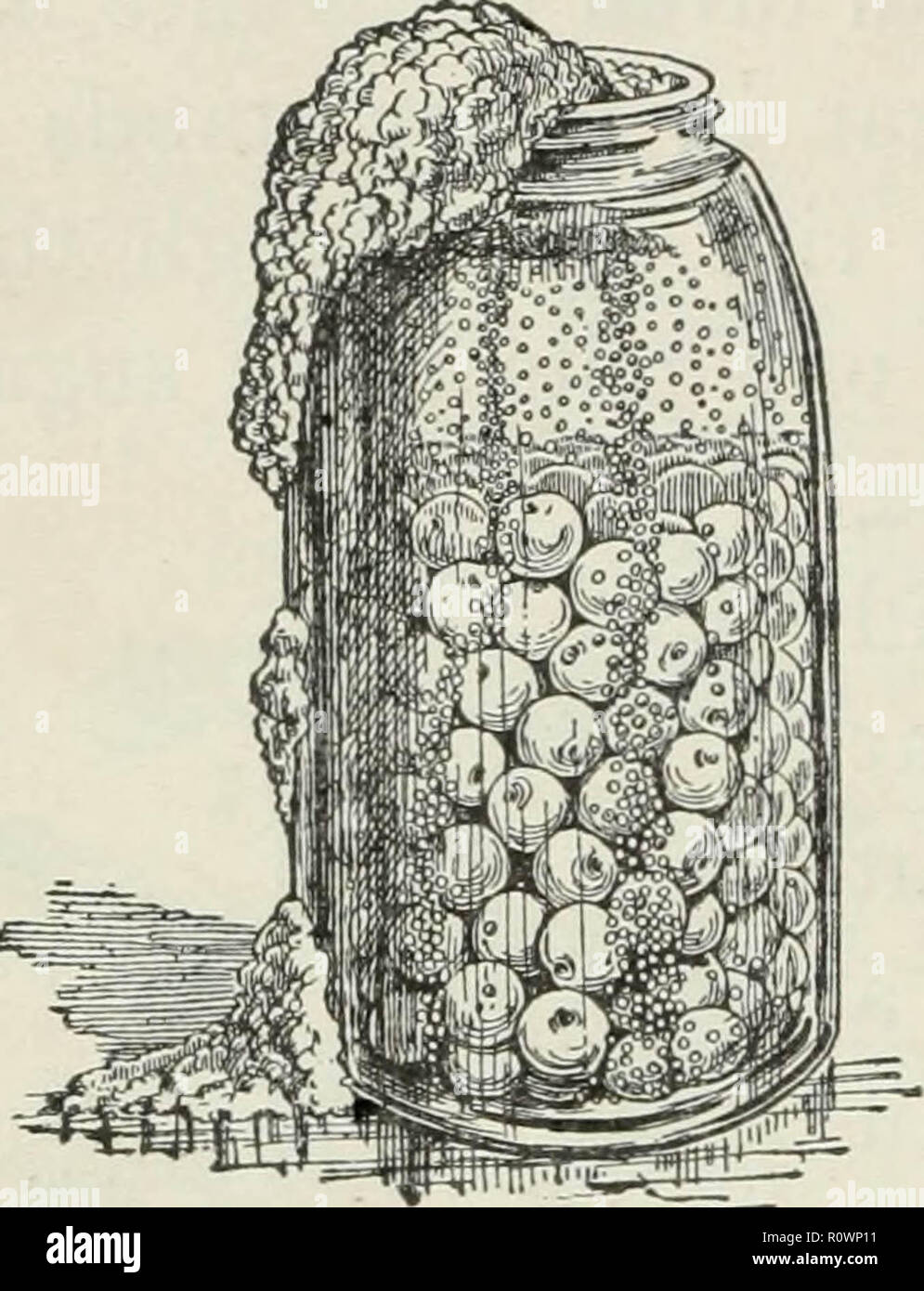 "Applied physiology : including the effects of alcohol and narcotics ...
