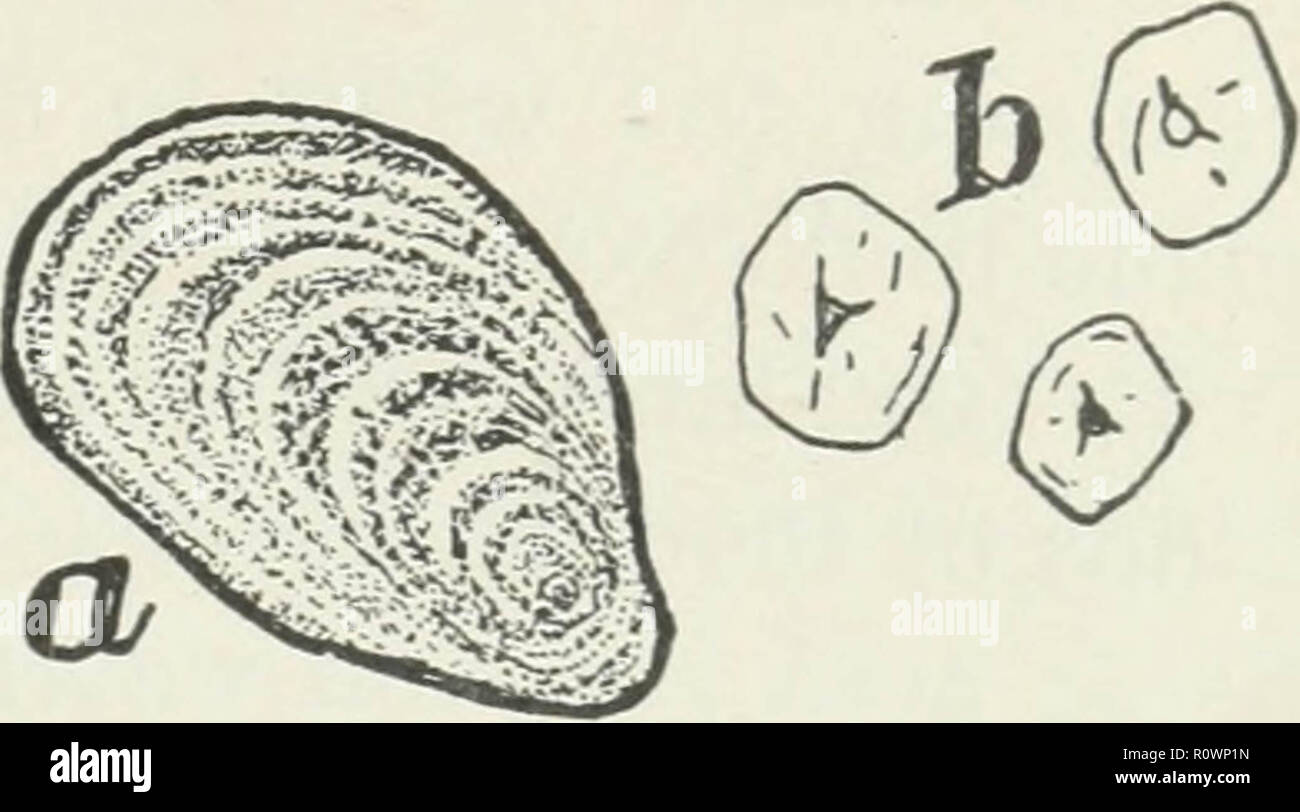 "Applied physiology : including the effects of alcohol and narcotics ...
