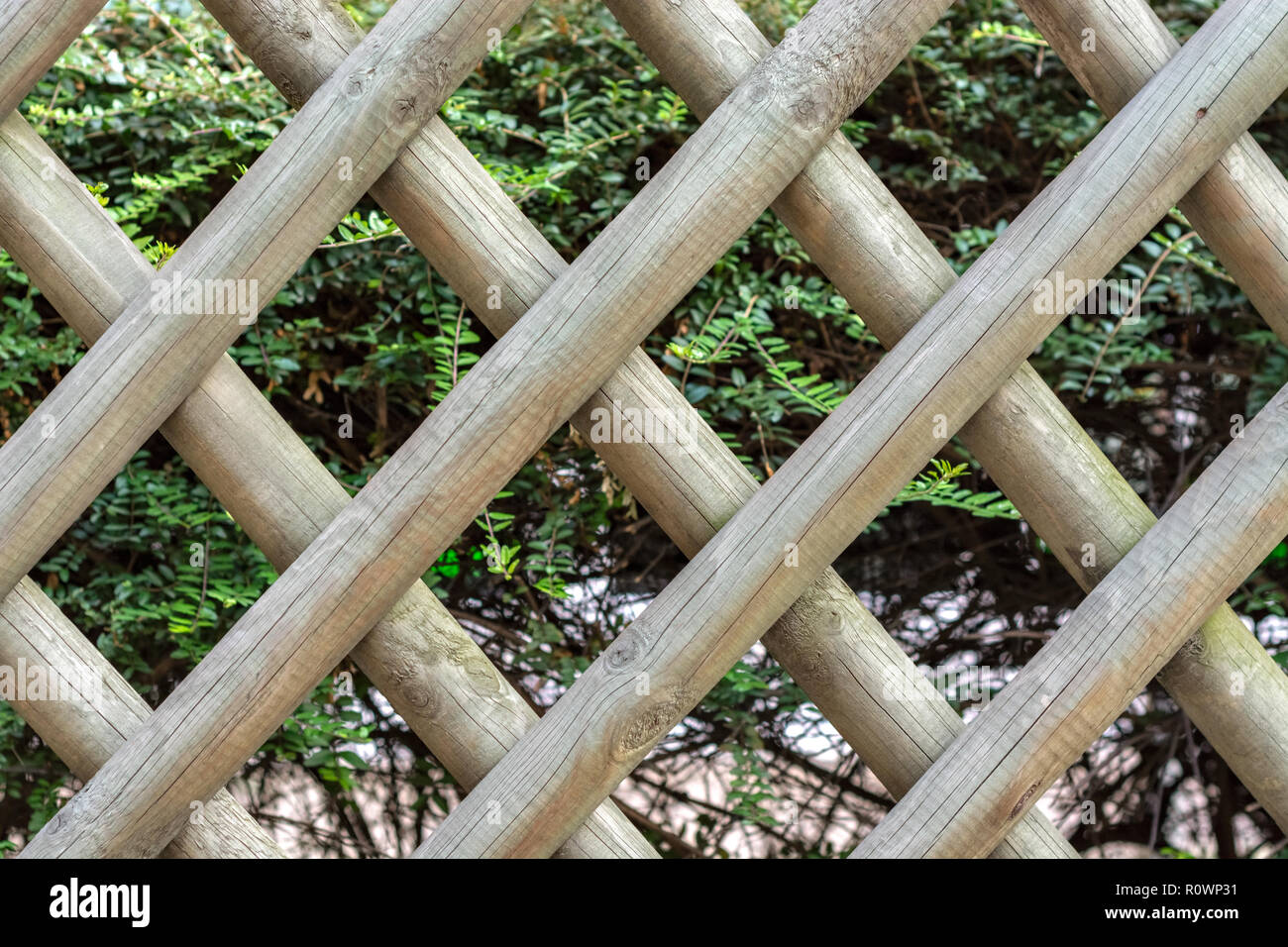 Grate made of round, dry wooden slats, in the form of diamond-shaped ...