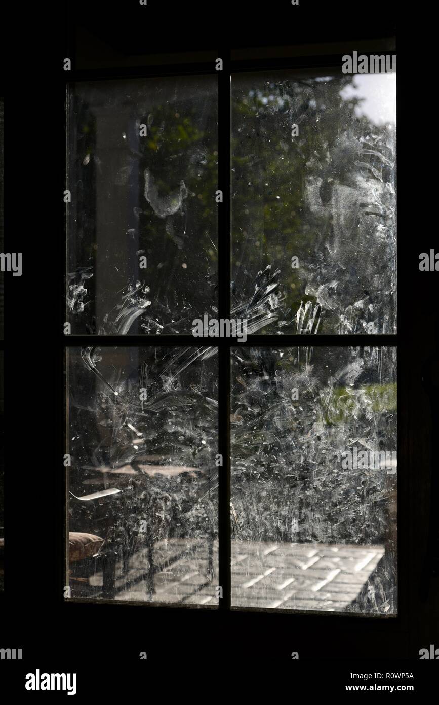 Paw prints on window Stock Photo - Alamy