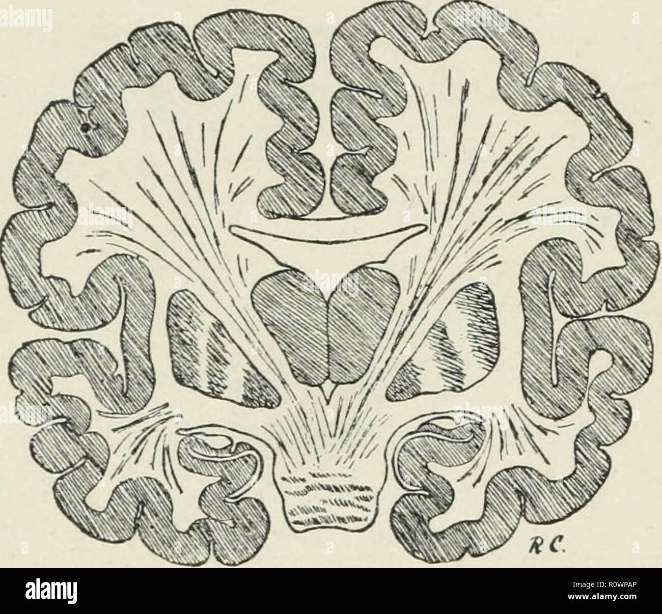 "Applied physiology : including the effects of alcohol and narcotics ...