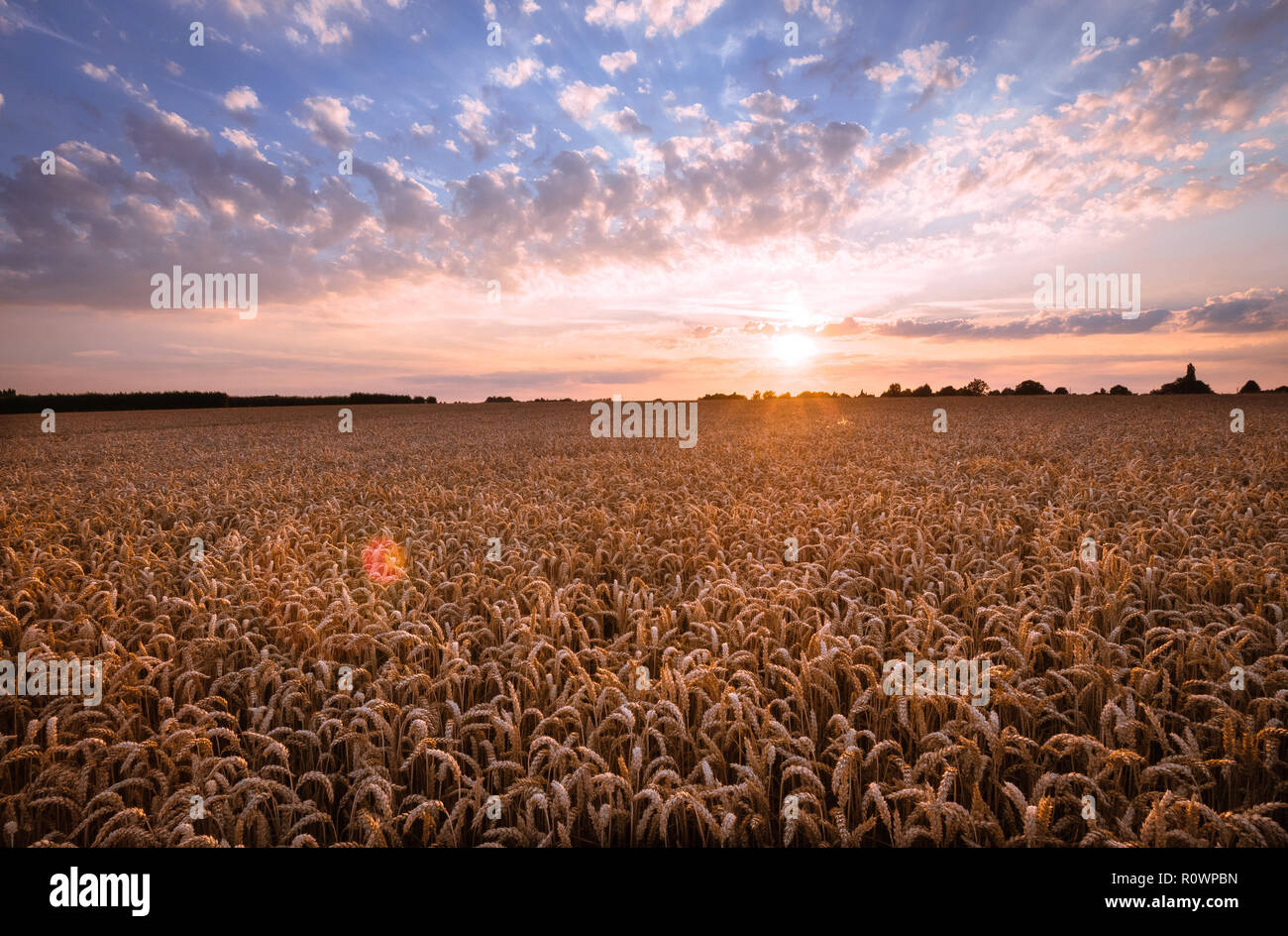 Farm glow hi-res stock photography and images - Alamy