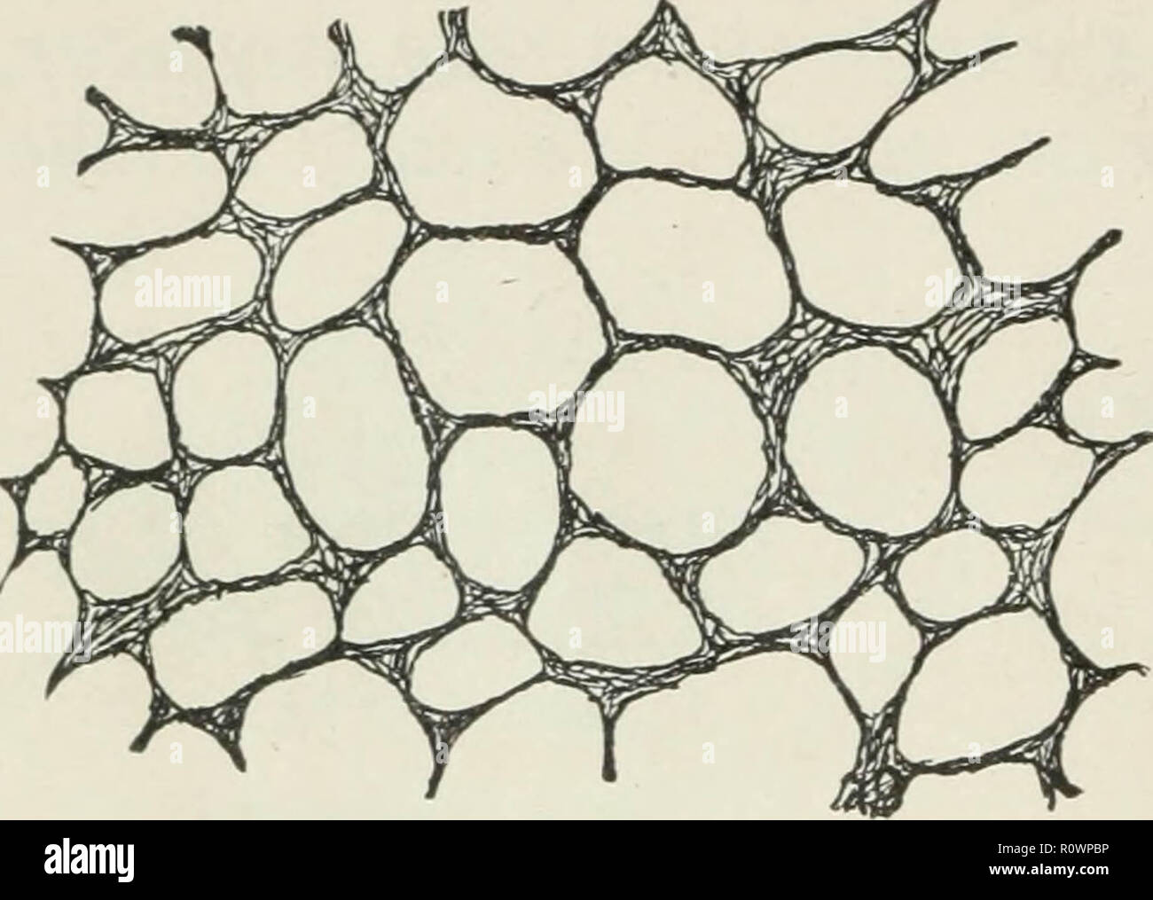 "Applied physiology : including the effects of alcohol and narcotics ...