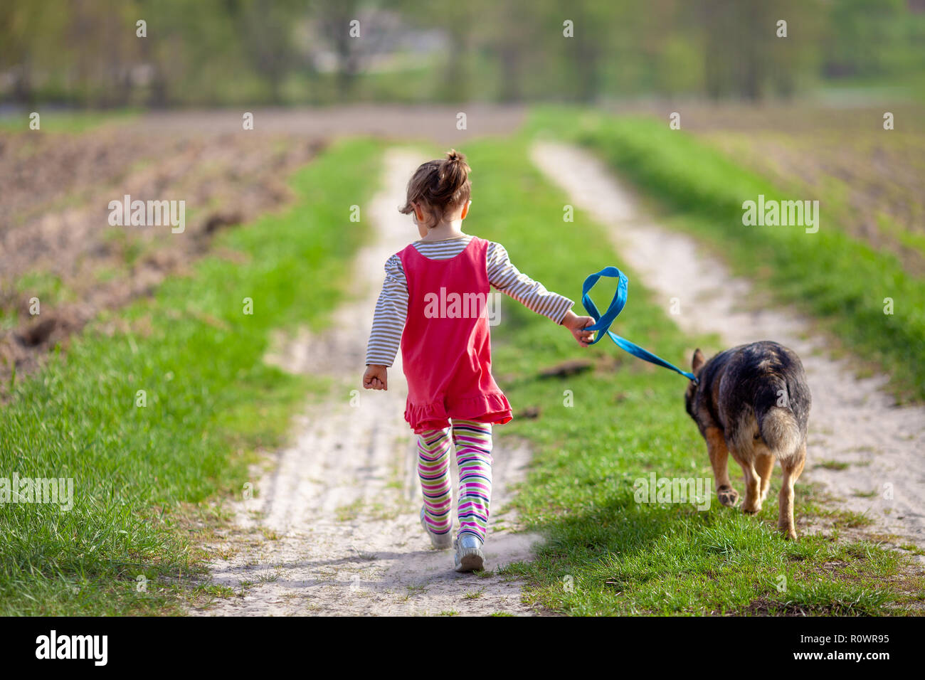 Little girl with dog walking on the rural road. Back to the camera ...