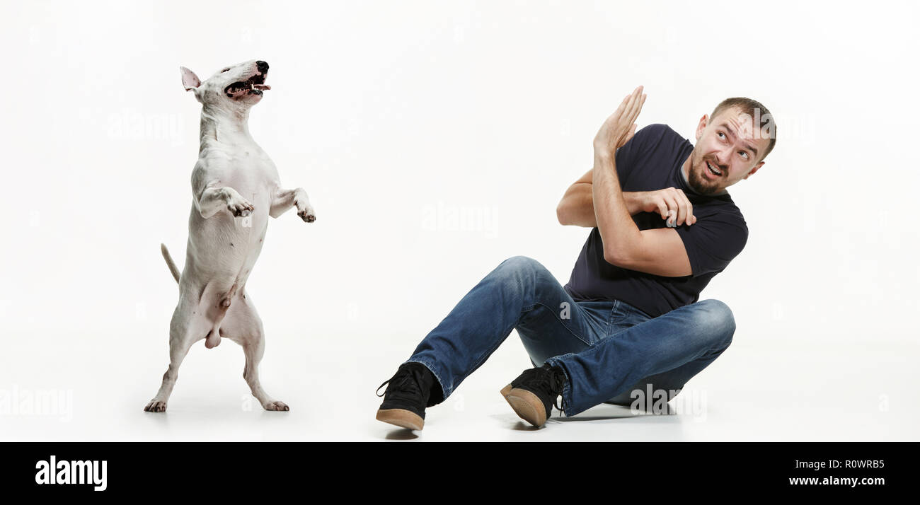 Dog scared man hi-res stock photography and images - Alamy