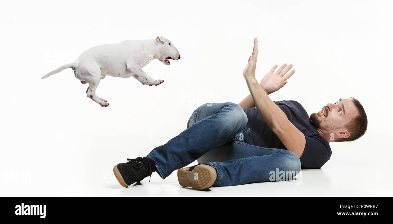 Dog scared man hi-res stock photography and images - Alamy