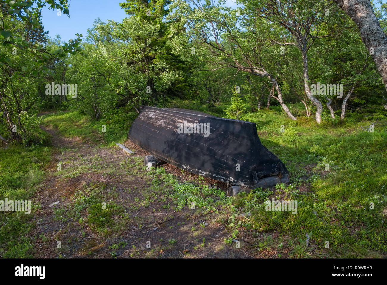 Old fishing boat prepared to tar on the shore in the forest Stock Photo ...