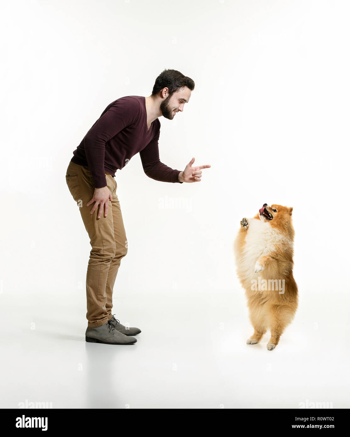 Emotional Portrait of man and his dog, concept of friendship and care ...