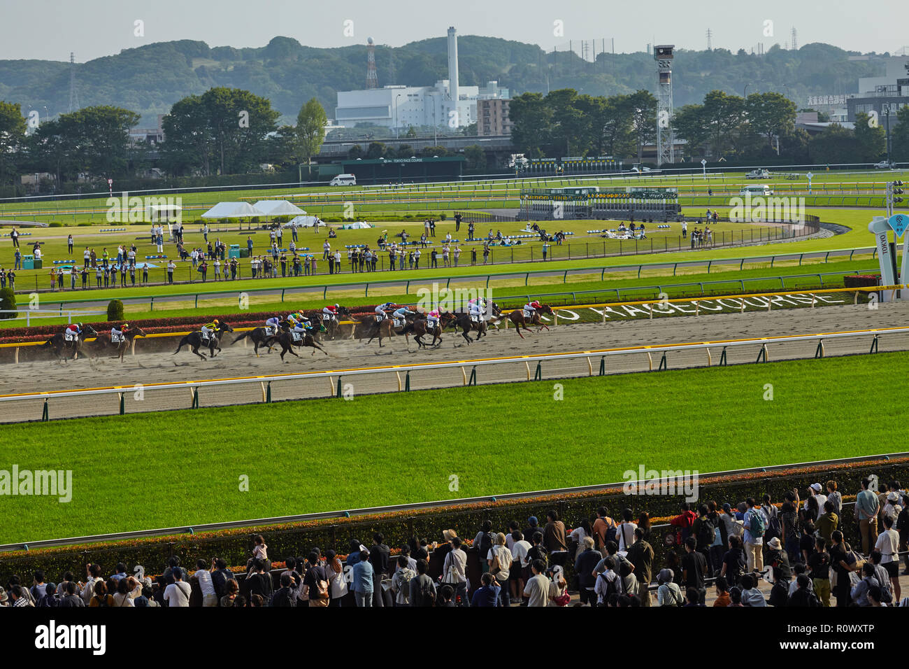 Tokyo, Japan. April 2018 Tokyo racecourse. Thoroughbred horses in ...