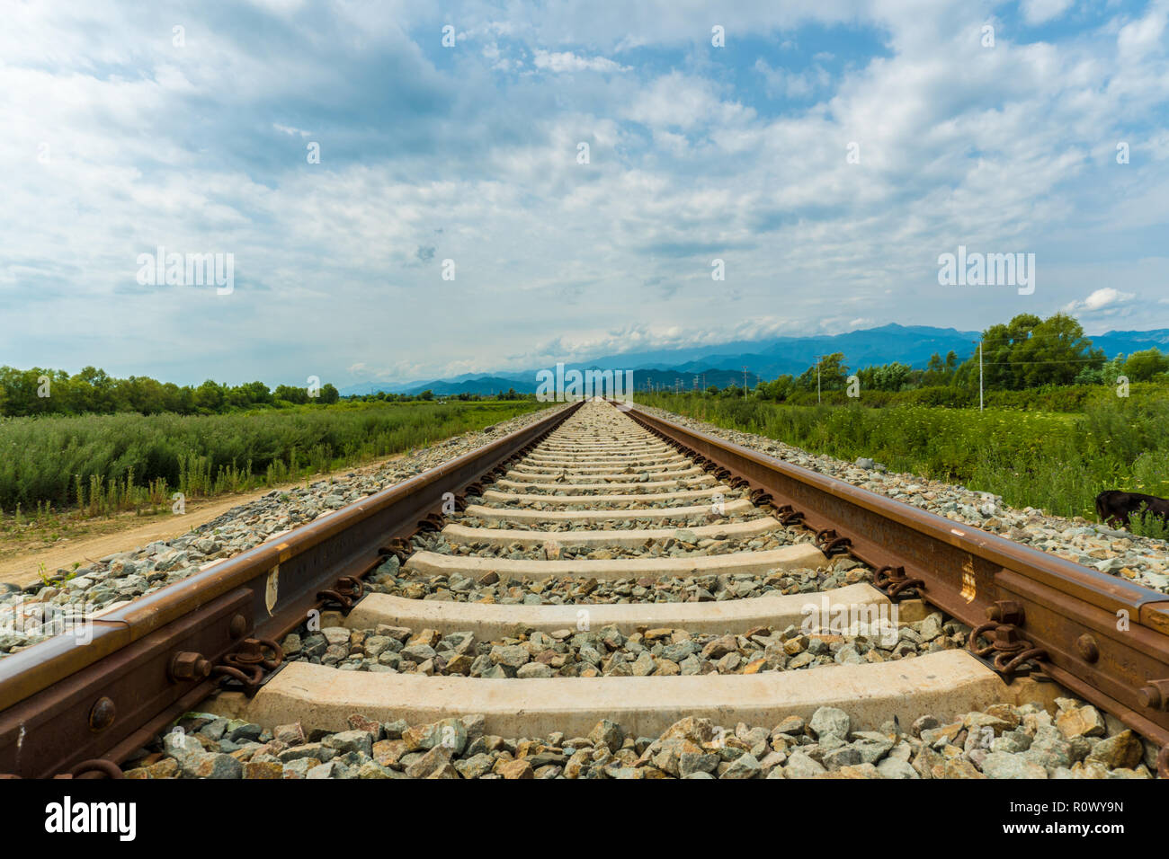 Never Ending Rail Road