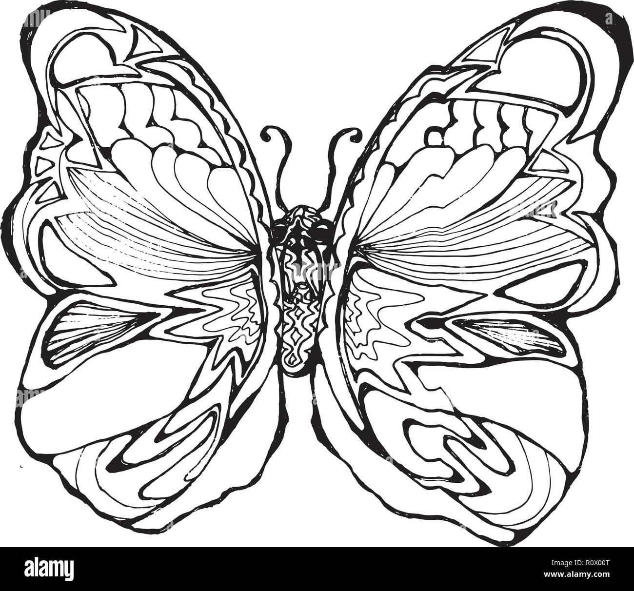 Line sketch butterfly flight Cut Out Stock Images & Pictures - Alamy