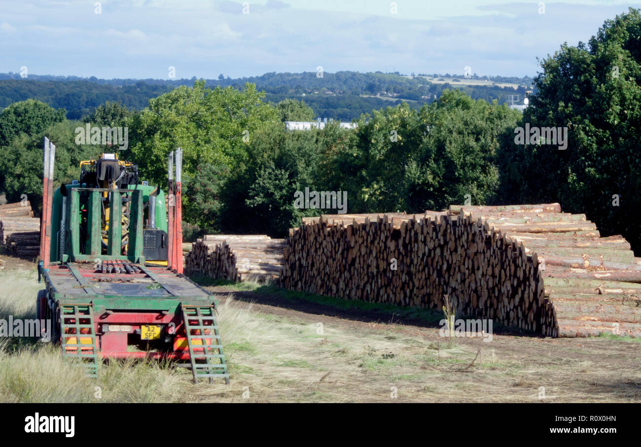 Timber lorries hi-res stock photography and images - Alamy