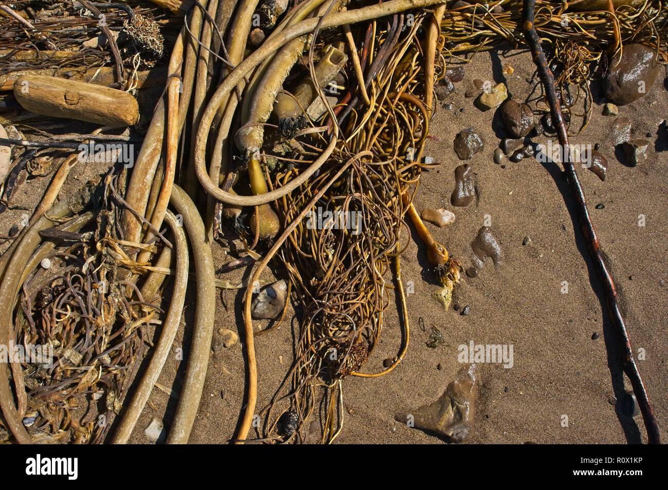 Consitency hi-res stock photography and images - Alamy