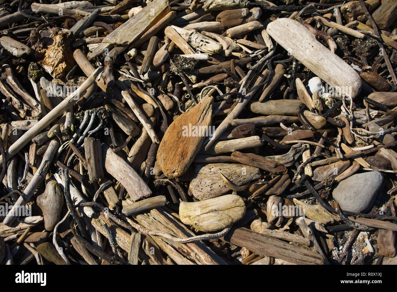 Twigs,,sticks and branches make an organic looking background with soft ...