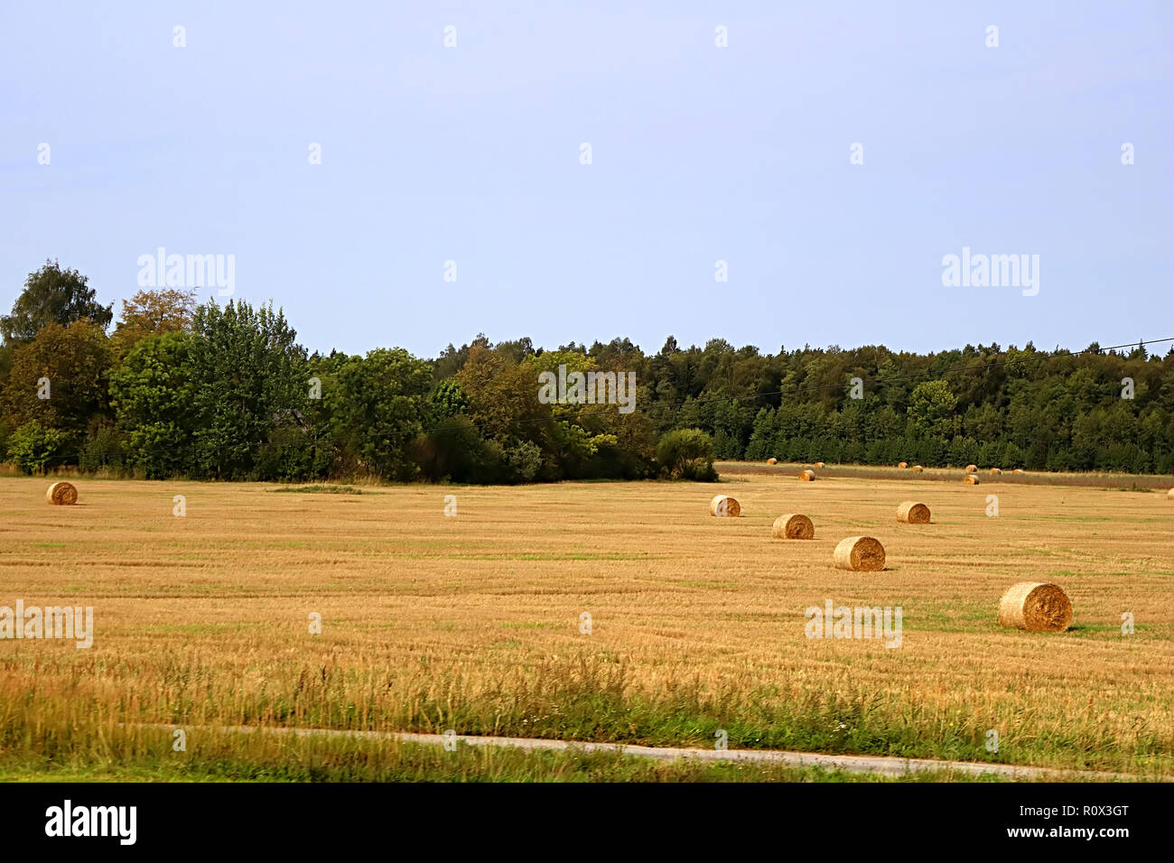 Stacks wheat ears hi-res stock photography and images - Alamy