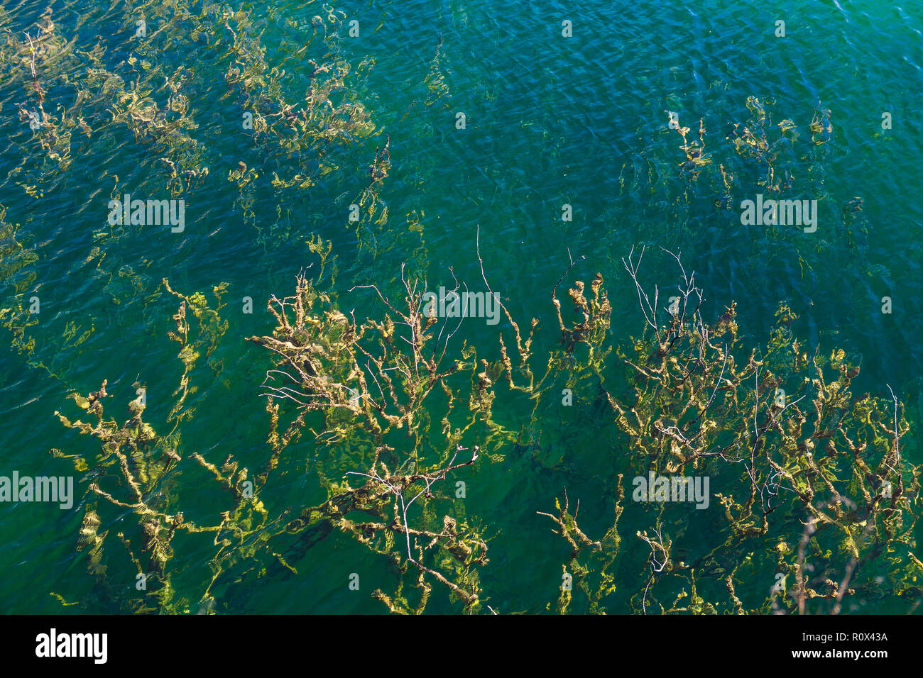 Abandoned flooded quarry hi-res stock photography and images - Alamy