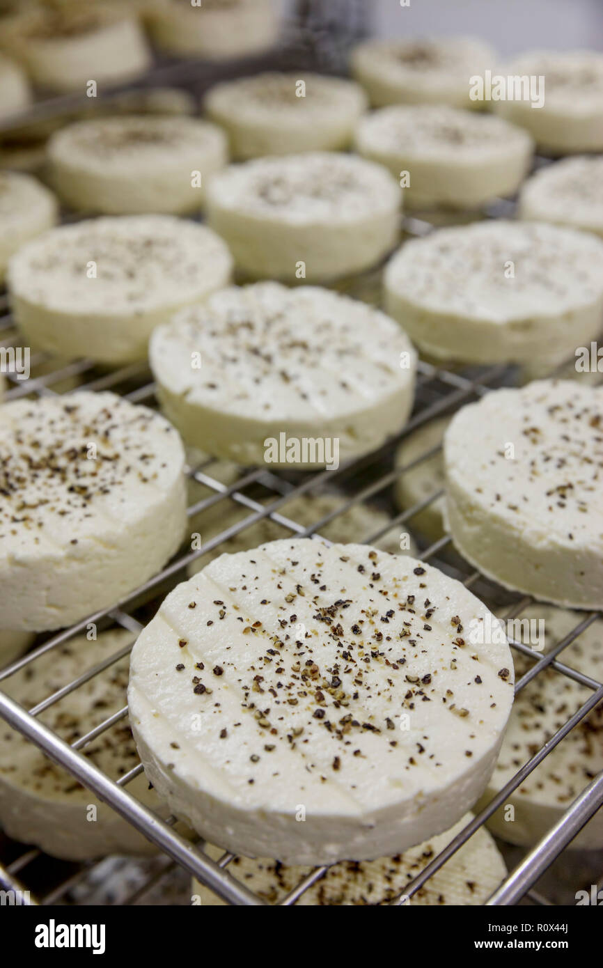 Mold and cheesemaking hi-res stock photography and images - Alamy