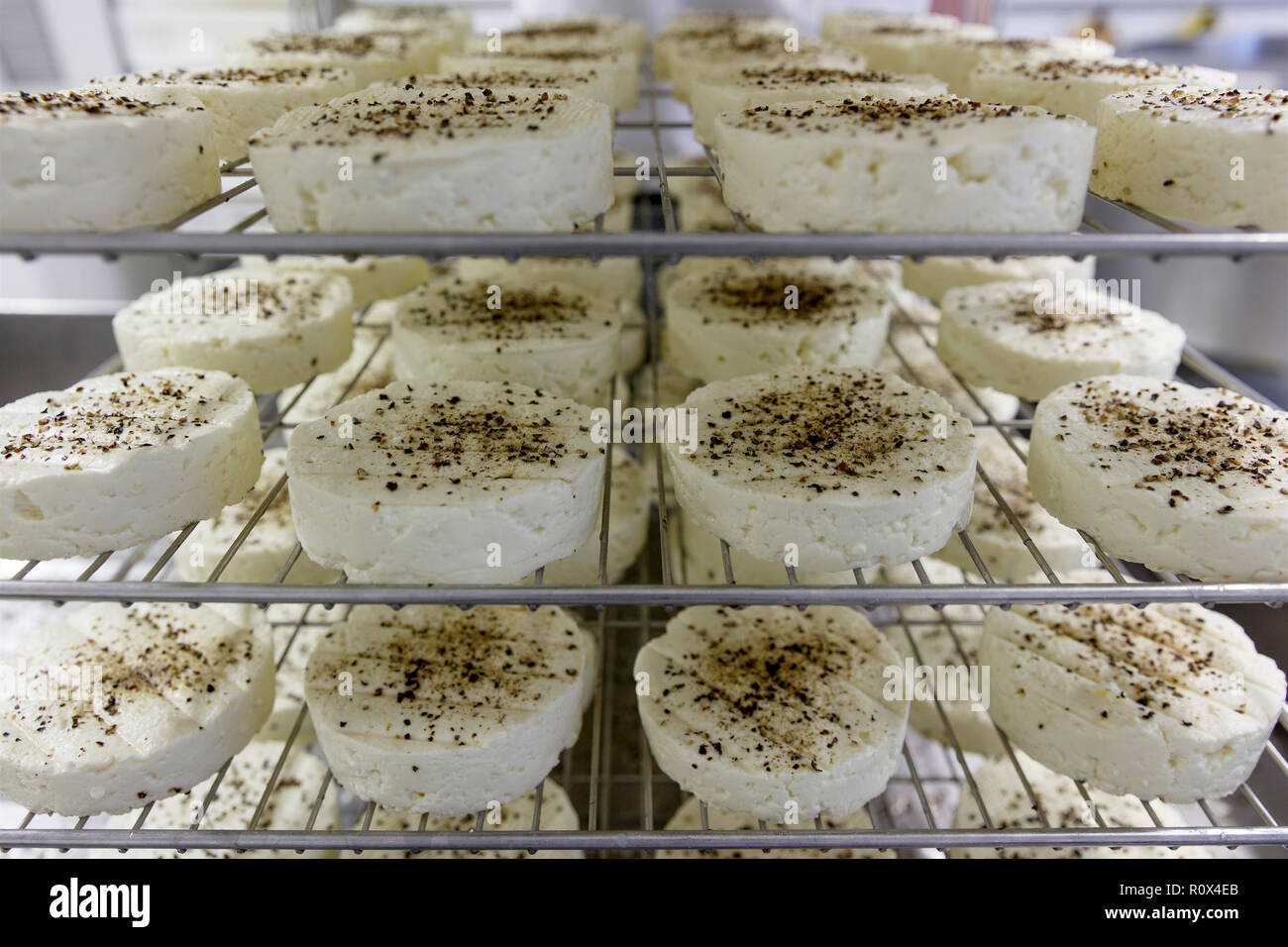 Food manufacturing process hi-res stock photography and images - Alamy