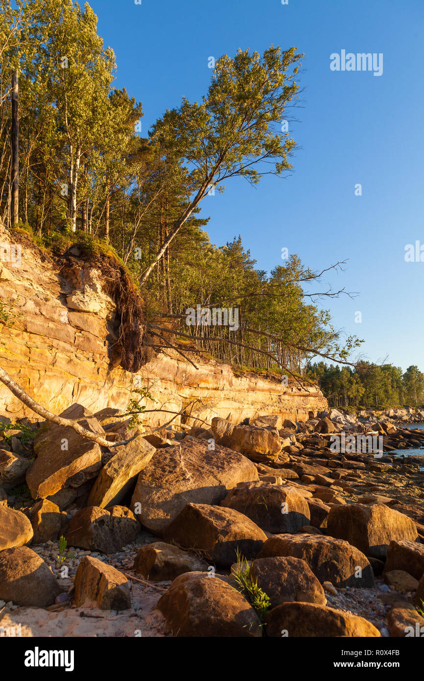 Limestone cliff on the coast of the Baltic sea. Sunset time and warm ...