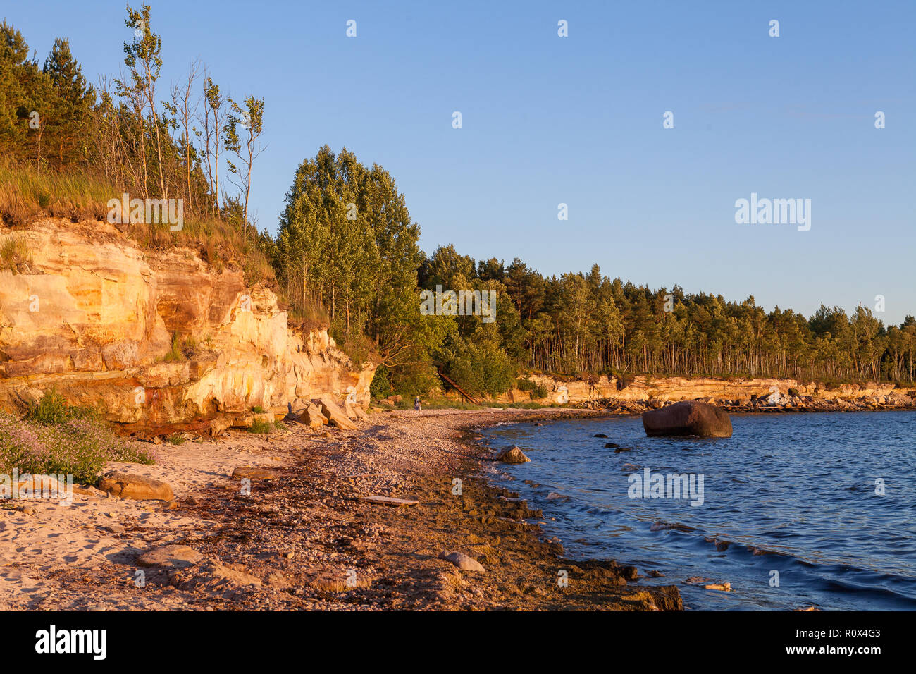 Rugged coastal limestone cliff hi-res stock photography and images - Alamy
